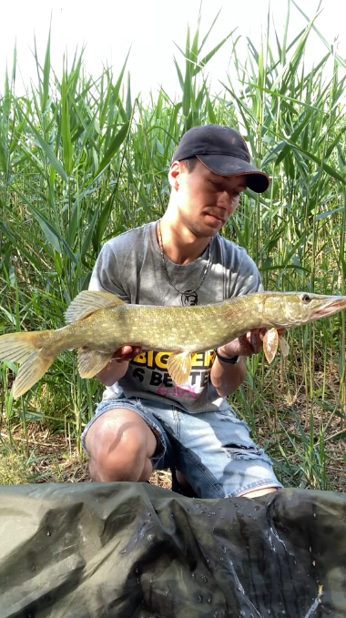 This Carp Rig Went Viral Here’s Why It Works