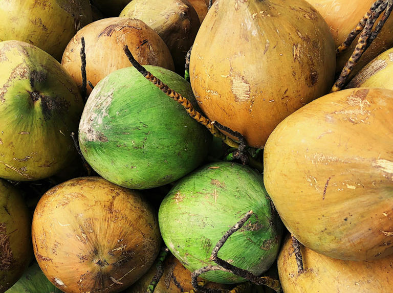 Coconut imports skyrocket as exports create domestic shortage