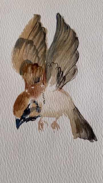 Creating a Cute Sparrow Painting from Scratch