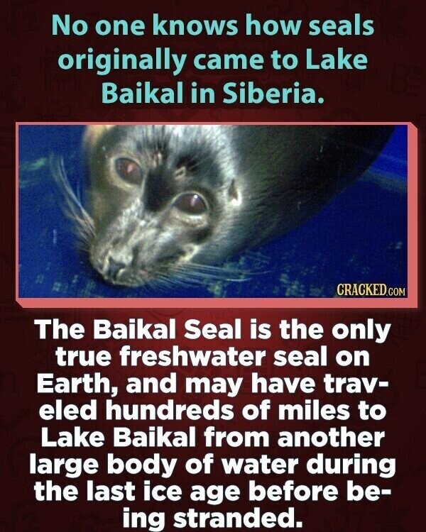 Fun Facts That Tell You All You Need to Know