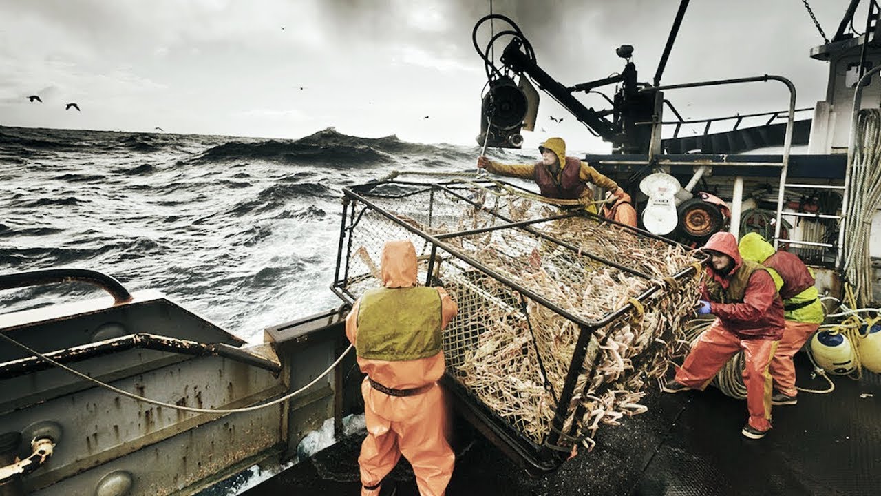 Deadly Disaster in Alaska’s Icy Seas