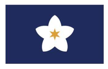 What should Massachusetts’s new state flag, seal, motto be? Here are ...