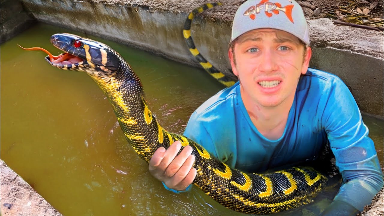 I Found a Pond INFESTED with Deadly Snakes!