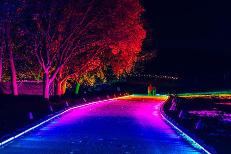 First Touch ‘n Go fraud in Negeri Sembilan worth nearly RM60,000 sees ...