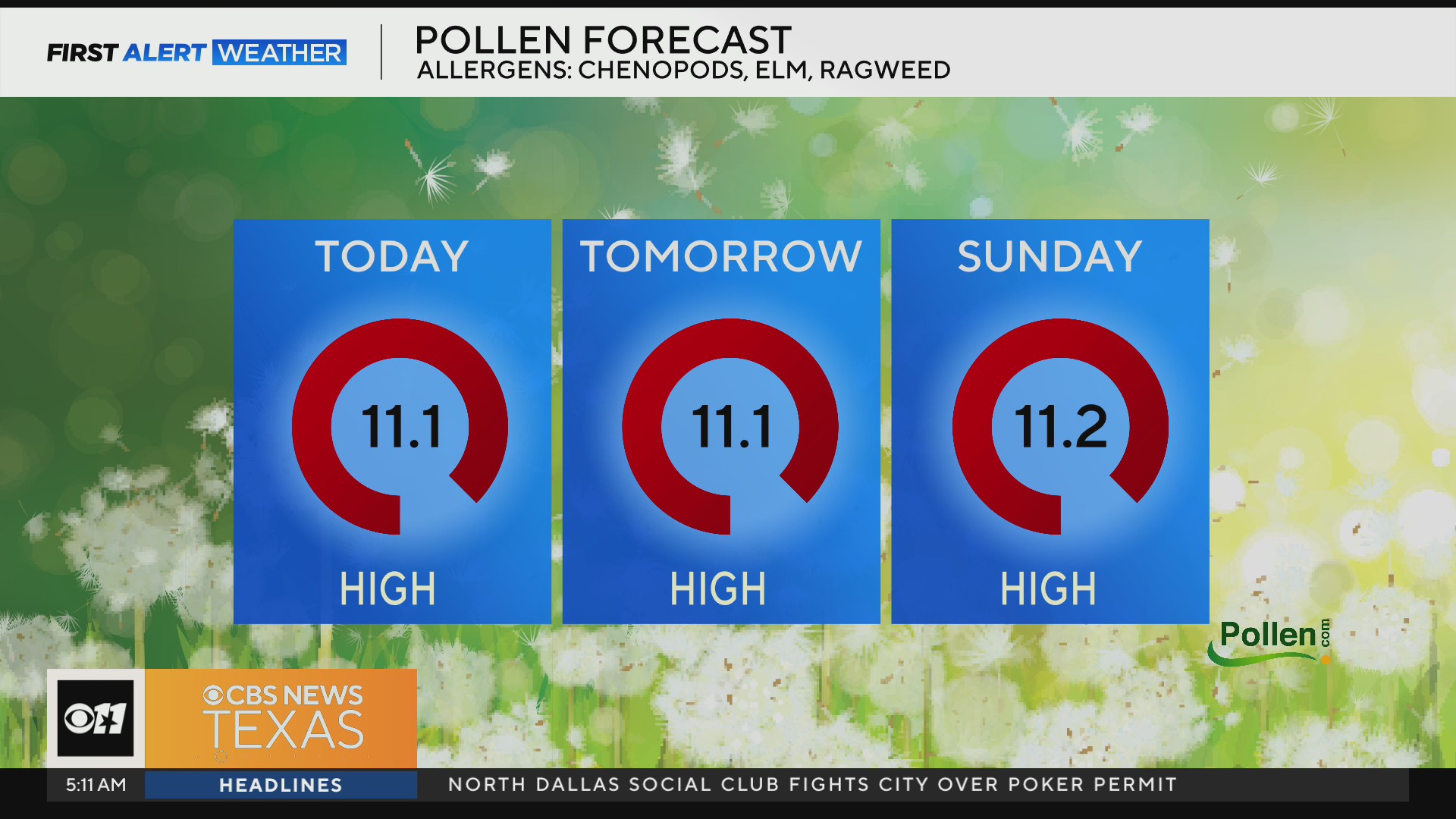 What's going around? High pollen in North Texas leading to symptoms for ...