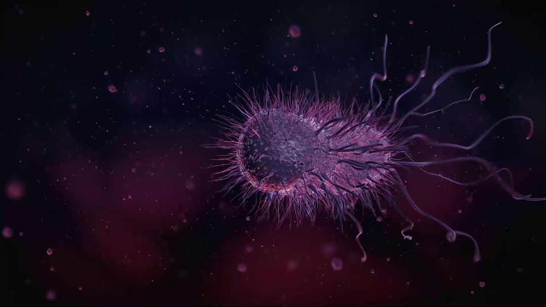 Antibiotic resistance is increasing in cases of strep throat