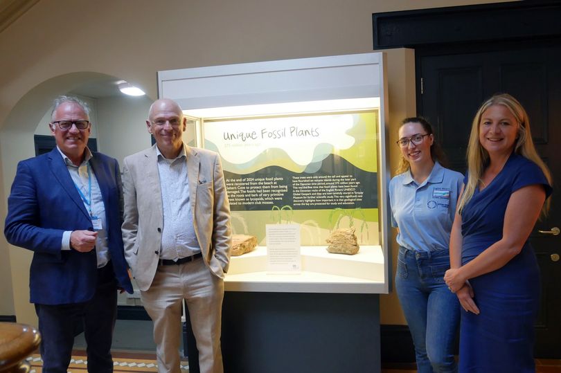 370 million year old fossil found on a Torbay cliff could rewrite history