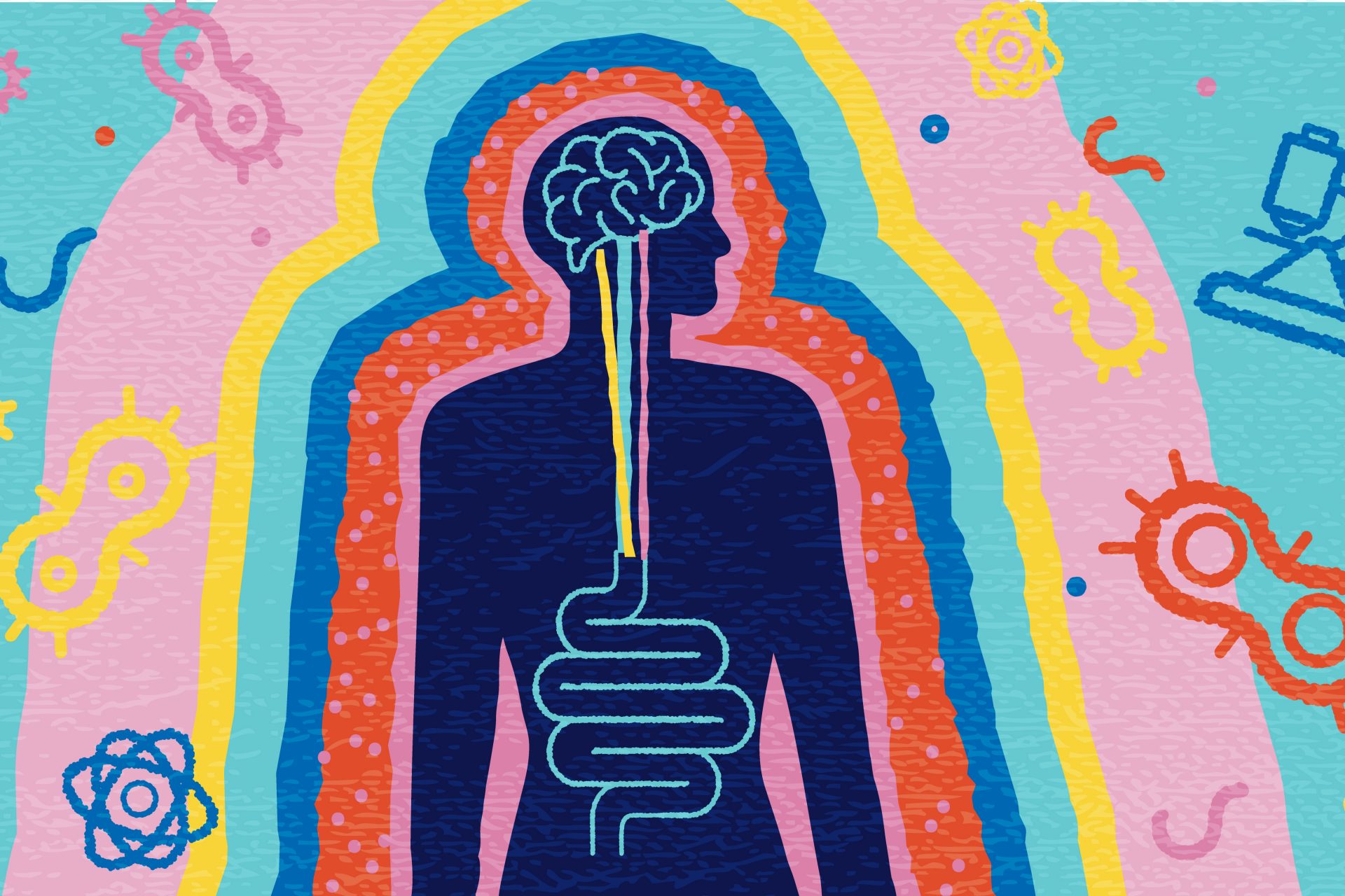 El segundo cerebro humano: cómo influye tu intestino en tu estado de ánimo