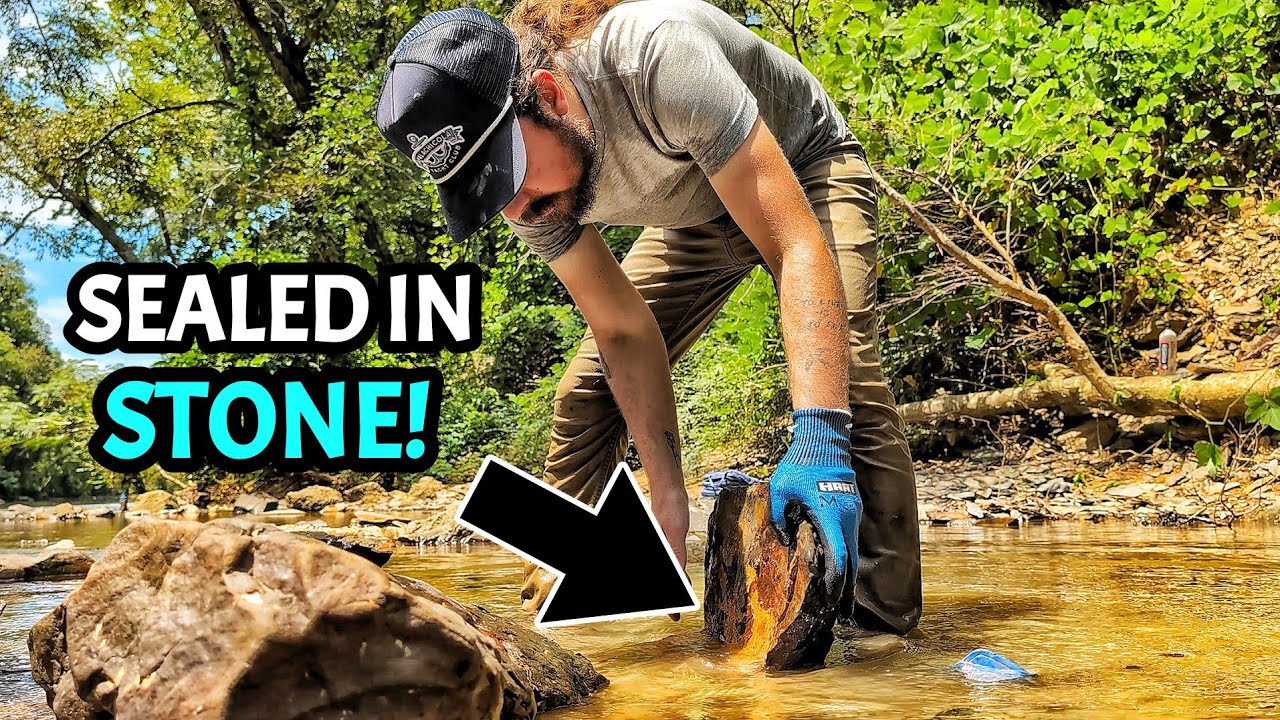 Fossil Hunting in Alabama’s Rivers Reveals Prehistoric Treasures
