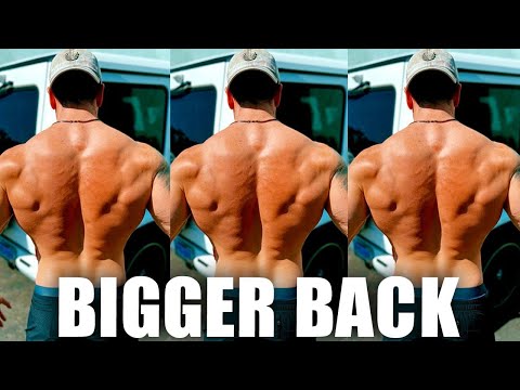 5 workouts to build a bigger back
