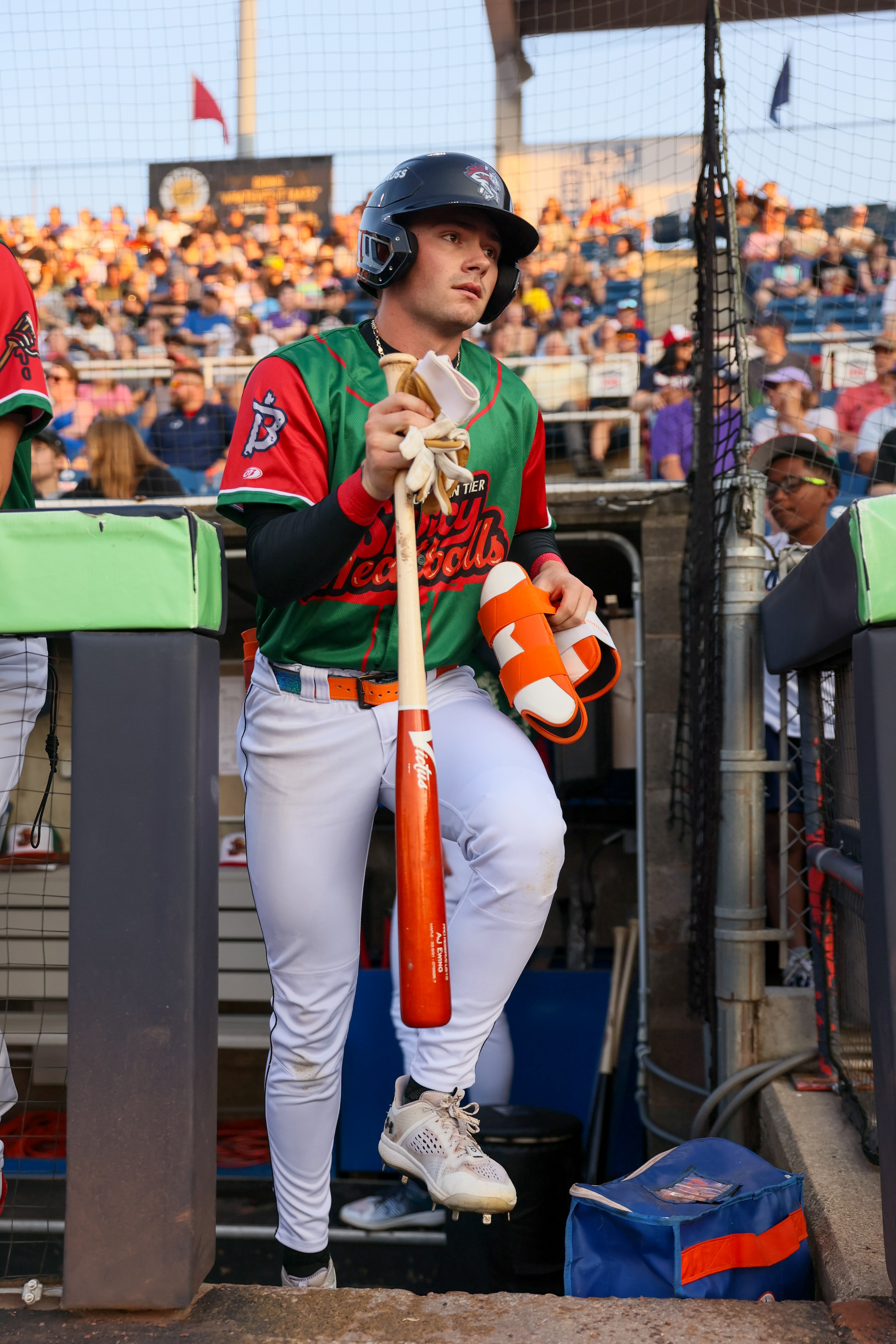 Mets Daily Prospect Report, 9/12/25: Championship bound