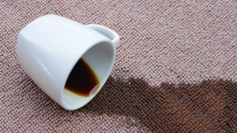 How To Clean 9 Common Carpet Stains To Make Them Look Like New