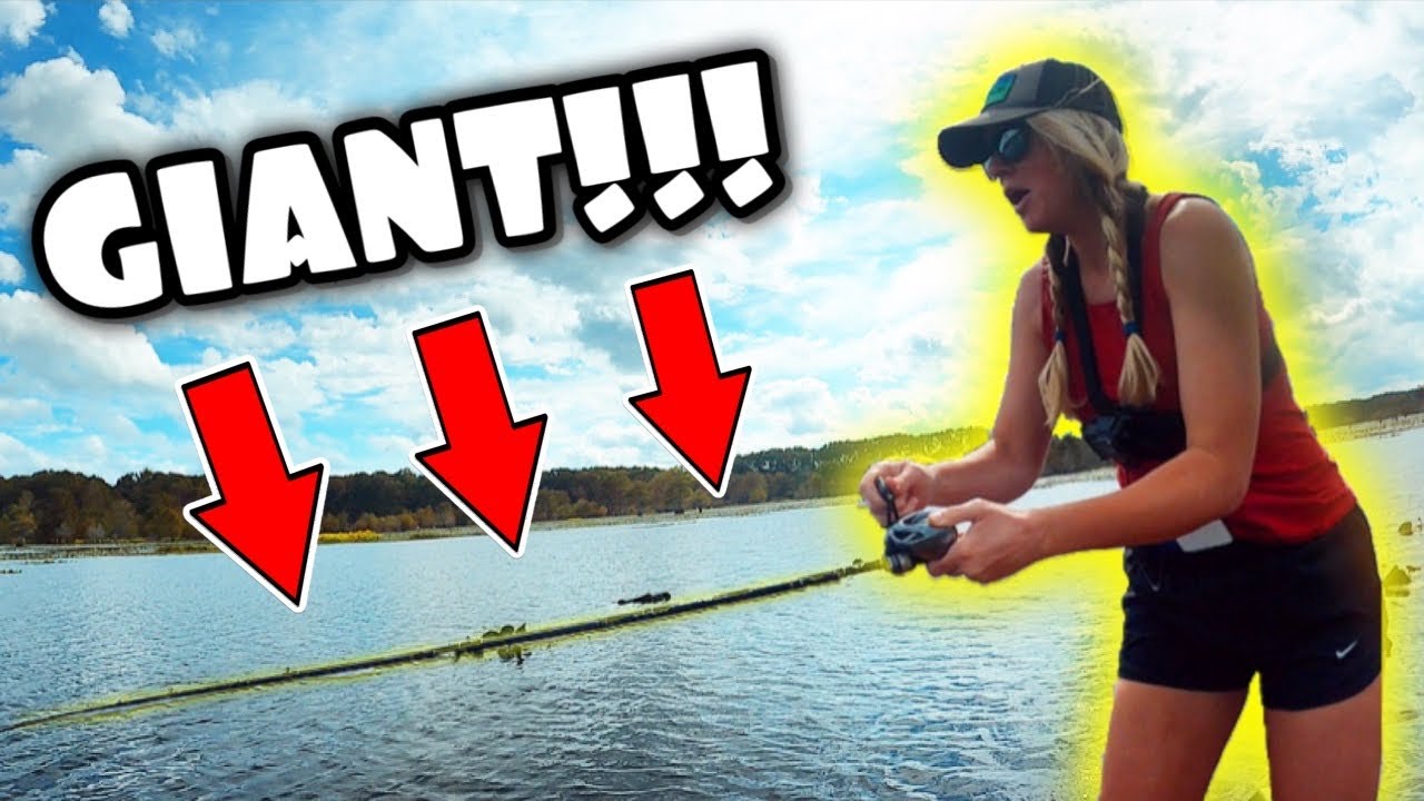 She catches giant fish biggest of the year revealed