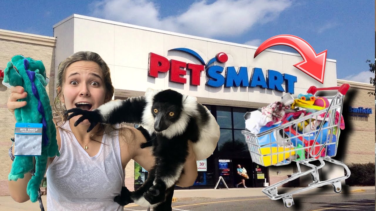 What Happens When a Lemur Shops for His Own Toys?