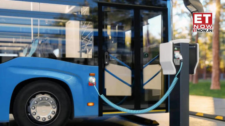 ‘Planet's most elusive bird' seen on trail camera at Australia reserve ...