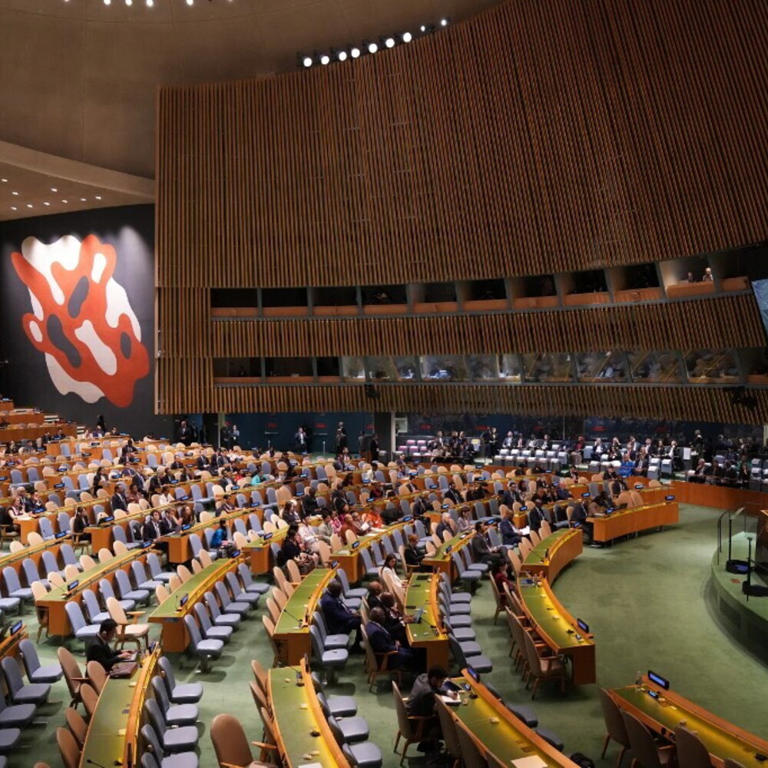 Oggi il voto dell'Assemblea generale dell'Onu sullo Stato palestinese
