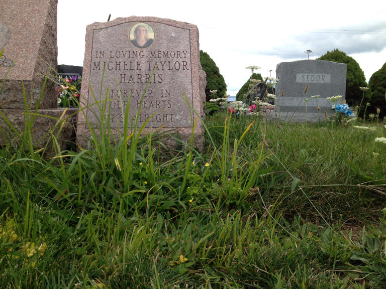 NYSP probes Michele Harris disappearance, Cal Harris' private ...