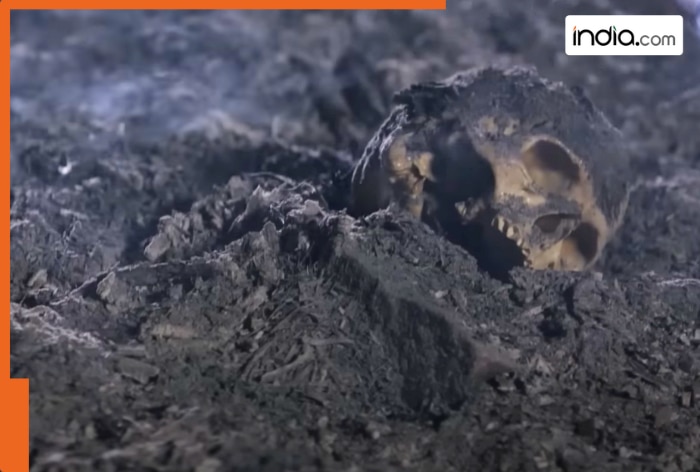 From Bhootakalam, Masooda to Aval, check out one of finest horror ...