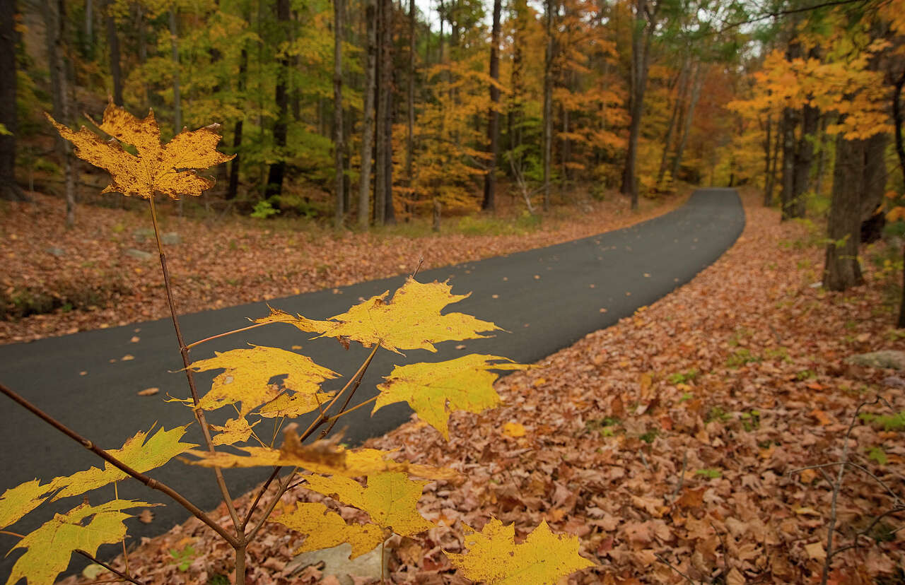 Fall foliage season begins. Here's when Connecticut will see peak ...