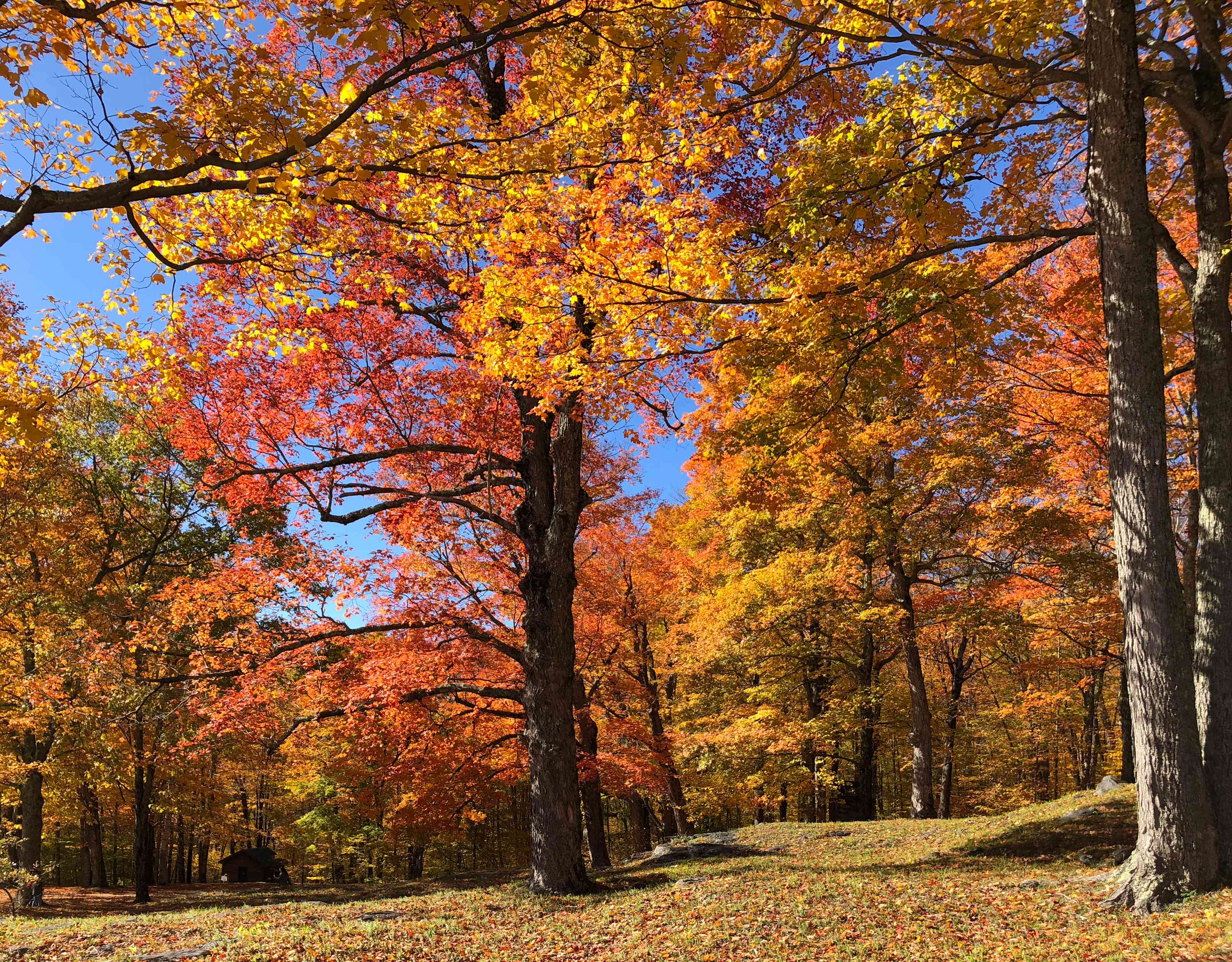 The Fall Equinox: Its Meaning and Timing