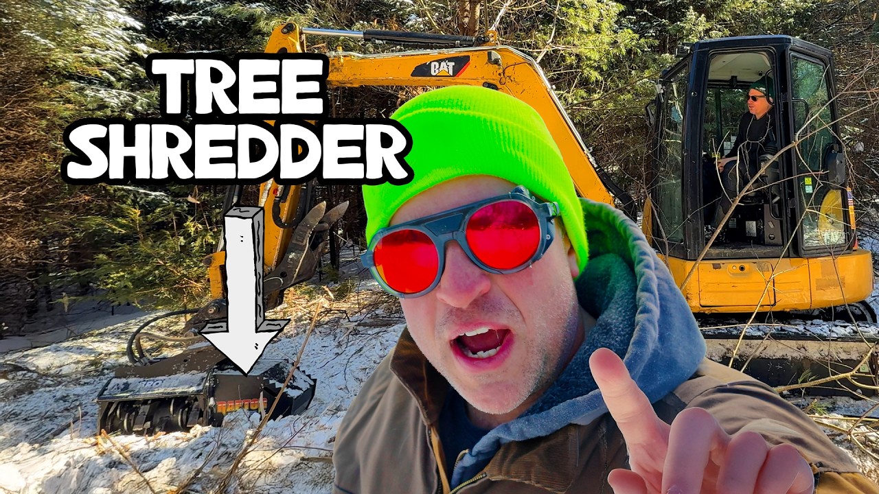 How I caught Alfred shredding my trees again