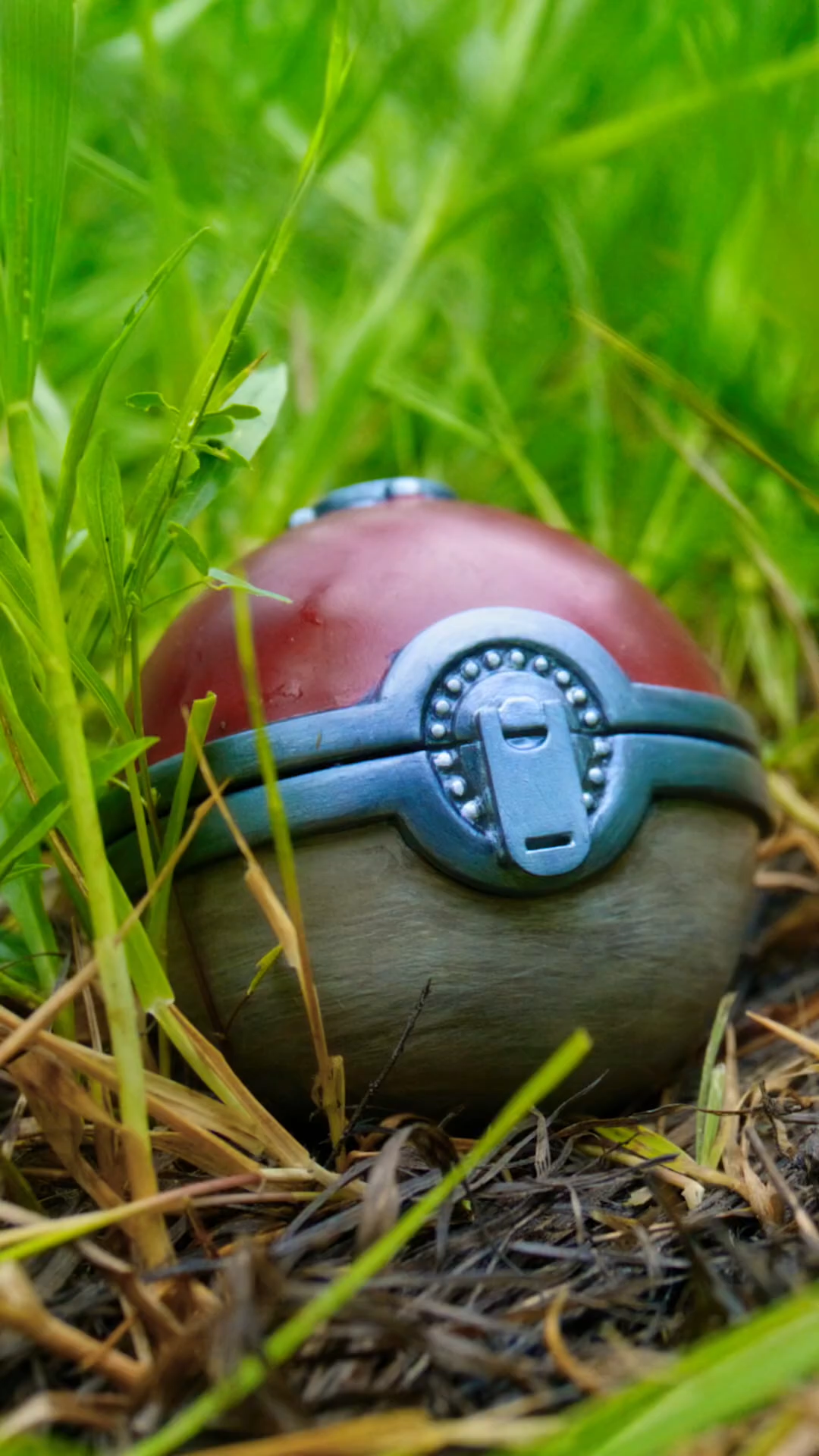 Catching Pokémon in Real Life