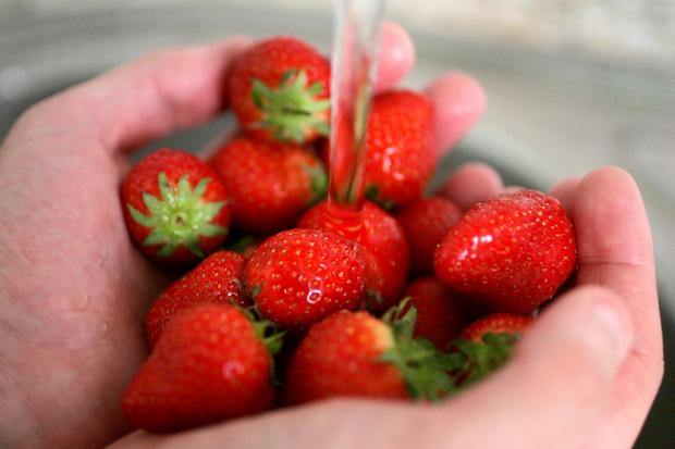 Gen Z's favourite scents include vanilla, strawberries and cherry blossom