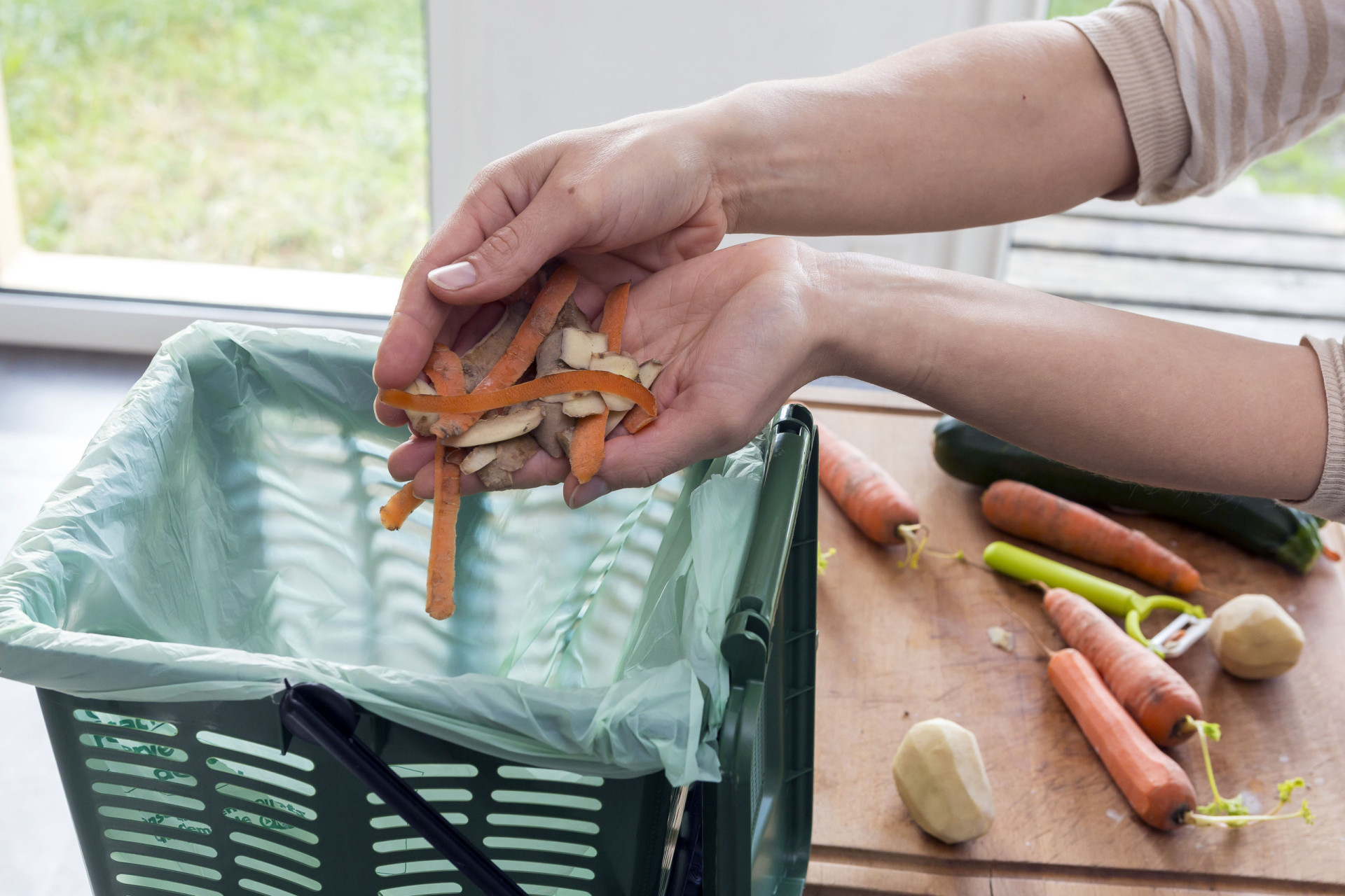 Here's how you can help fight climate change