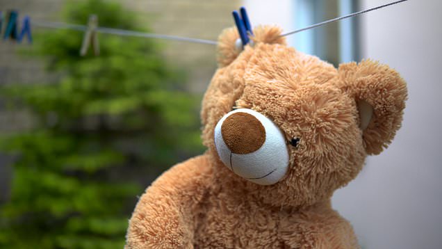 Boyfriend totally spooked by 'moving teddy' prank