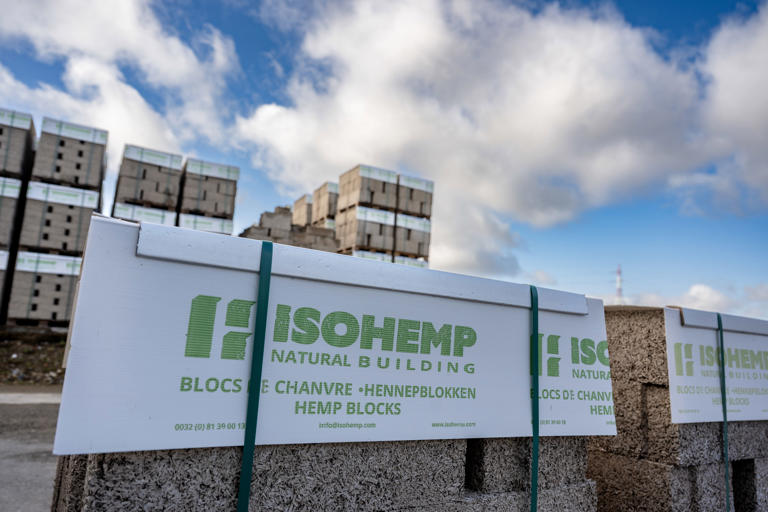 Distonía focal: cuáles son los síntomas y cómo se trata