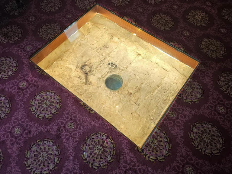 Condé Charlotte Museum brings Mobile's colonial history to life