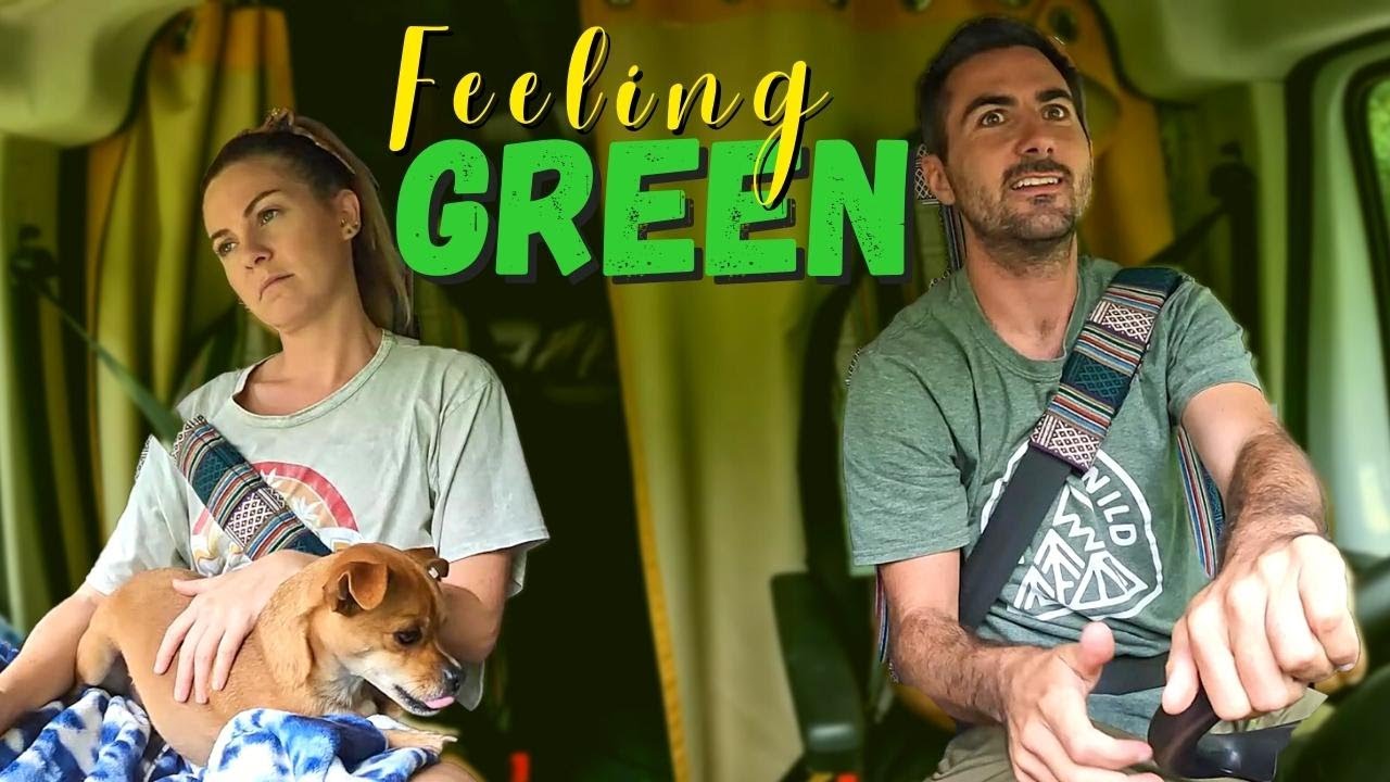 Google Warned Us – The Vomit Highway Was a Nightmare