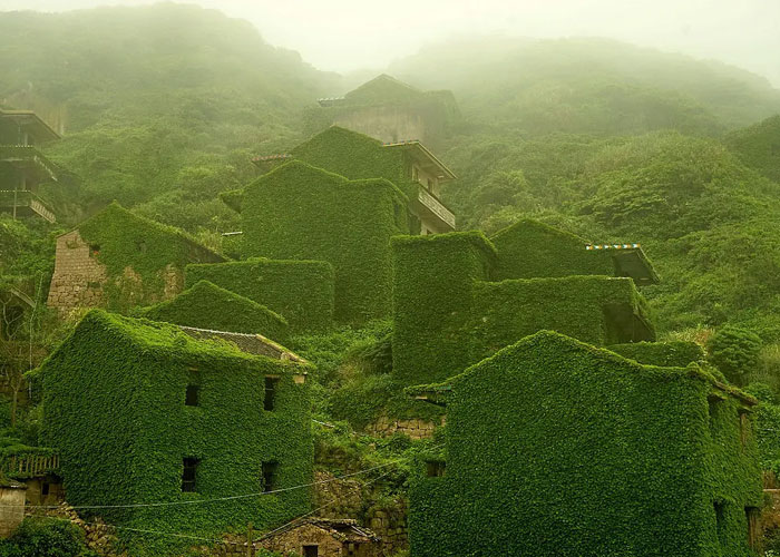 49 Times Nature Won The Battle Against Civilization (New Pics)