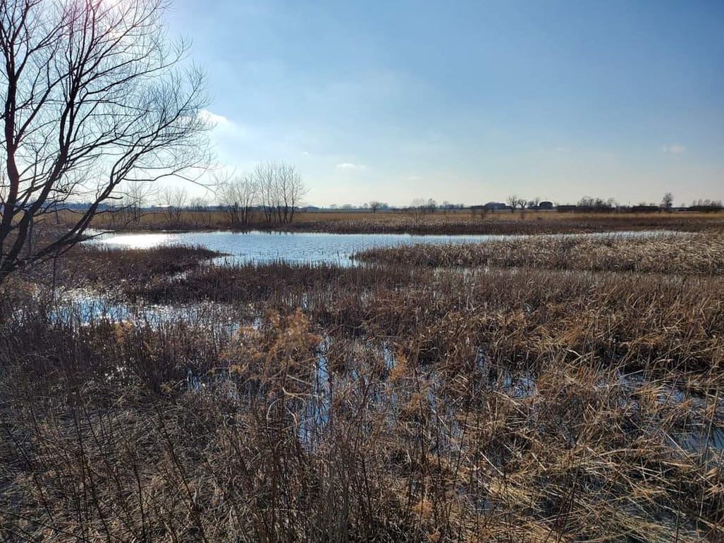 Ohio weather forecast: See temps, live radar for Ohio State, Browns ...