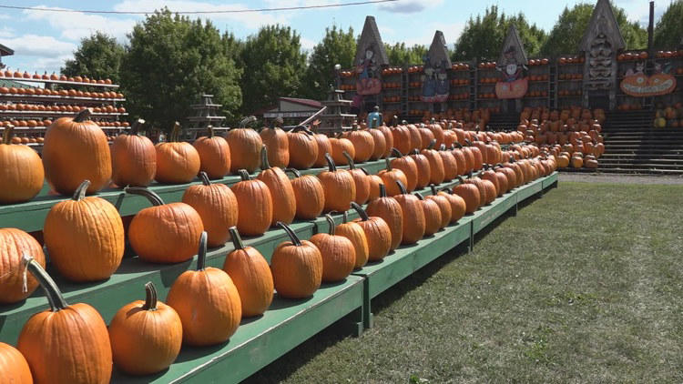 The Great Pumpkin Farm's Fall Festival kicks off Saturday