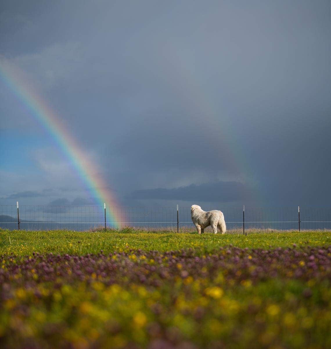 How can The Tribune improve its environmental coverage? We want reader ...