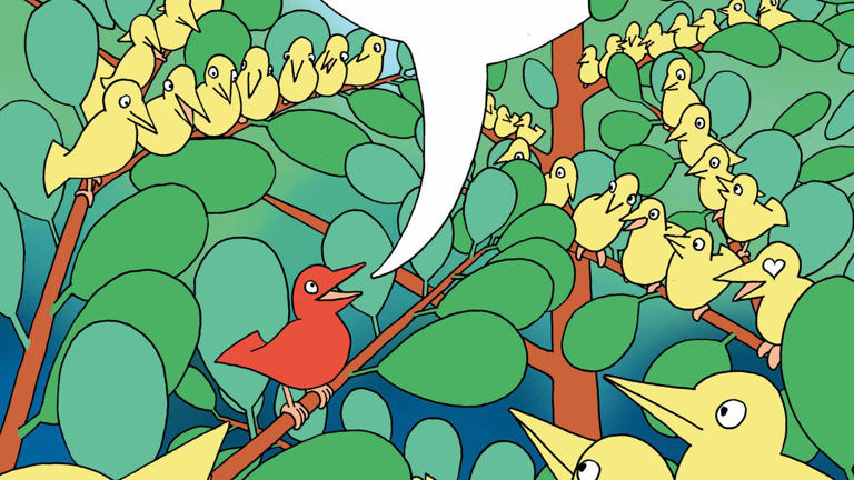 How to give a good presentation: tips and tricks for public speaking and pitching