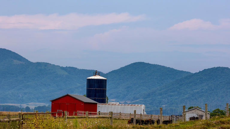 One Of The 10 Natural Wonders Of Virginia Is This Sweeping, Picturesque ...