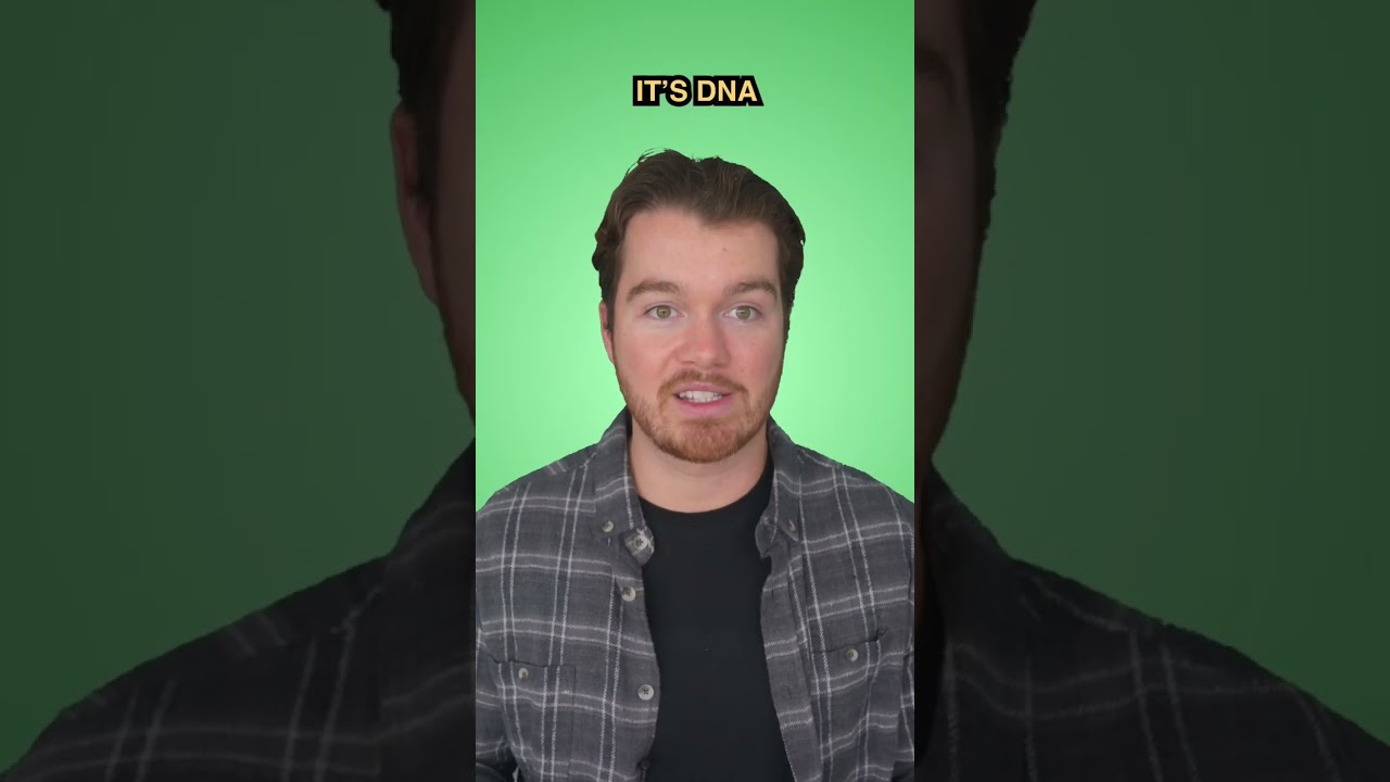 Scientists Are Bringing Woolly Mammoths Back to Life