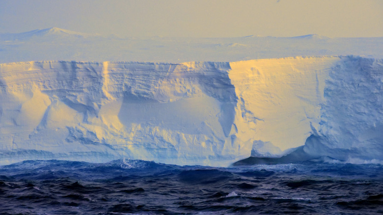What We Know About The World's Biggest Iceberg