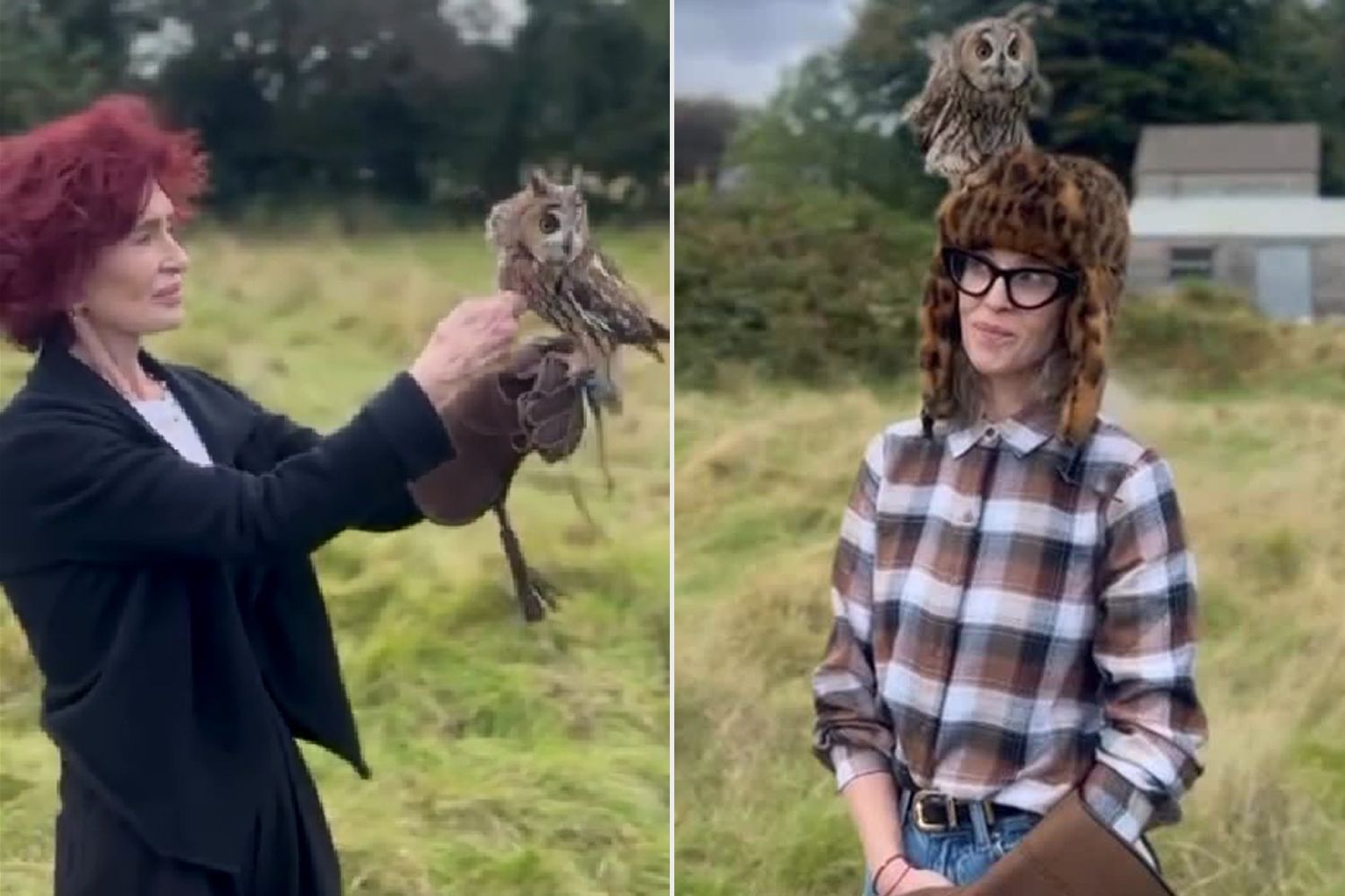 Sharon Osbourne Takes on New Hobby in First Public Outing Since Ozzy ...