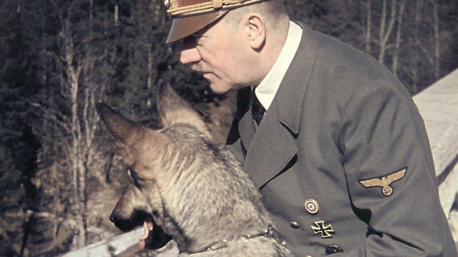 Hitler’s Troubling Love for Dogs