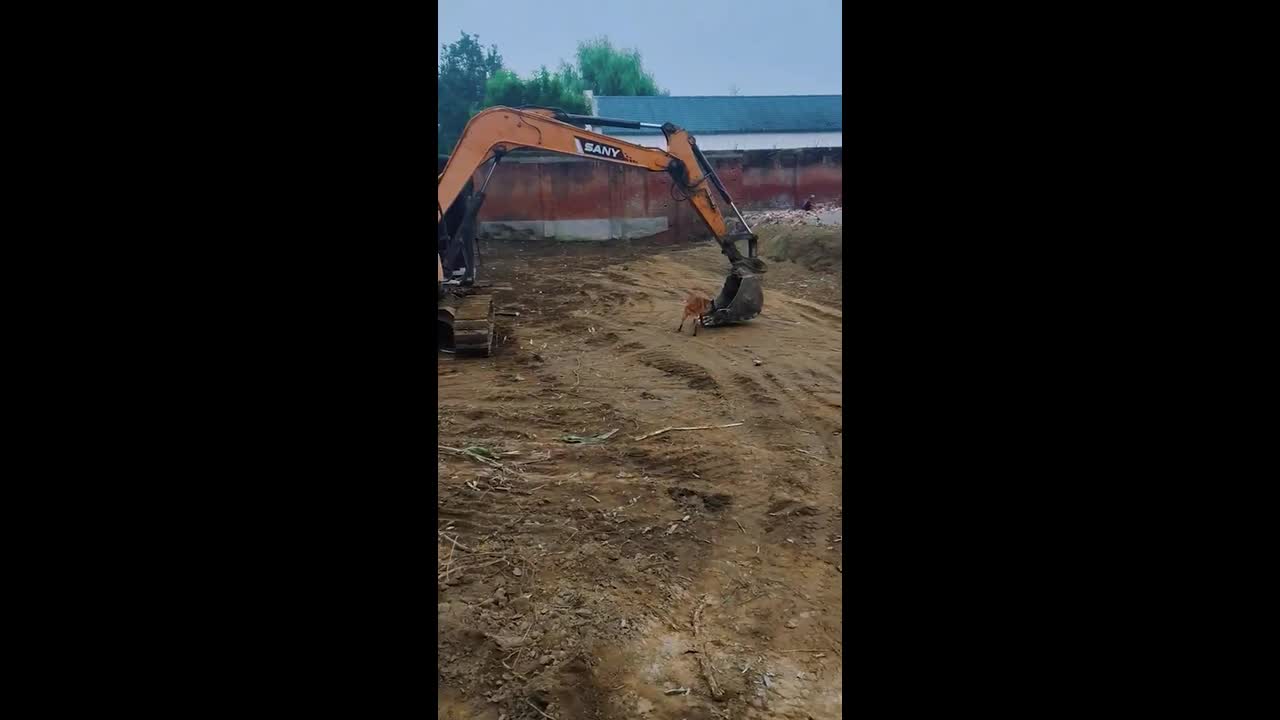 Construction worker passes time by giving dog a ride in excavator bucket