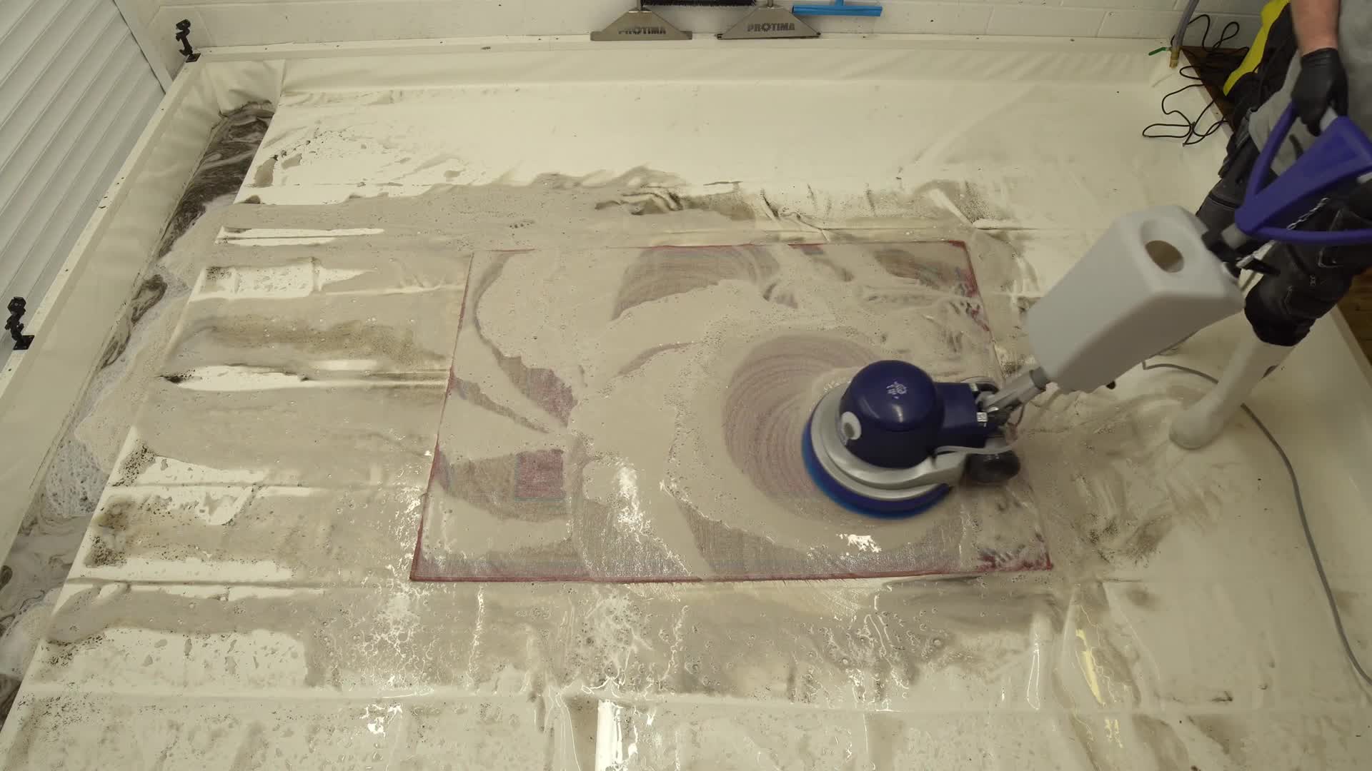 Deep cleaning a worm-infested carpet