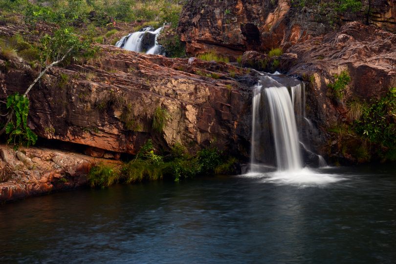 Scientists uncover rare fish that can 'climb waterfalls' in insane video