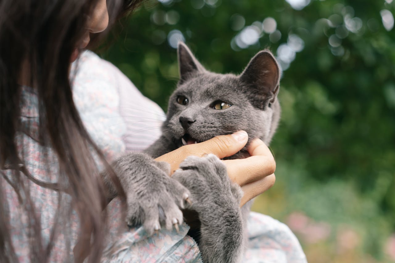 15 worst pet names ever (don’t let your vet judge you)