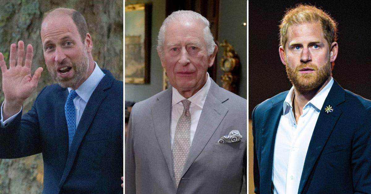 Prince William Was ‘Blindsided’ by Prince Harry and King Charles ...