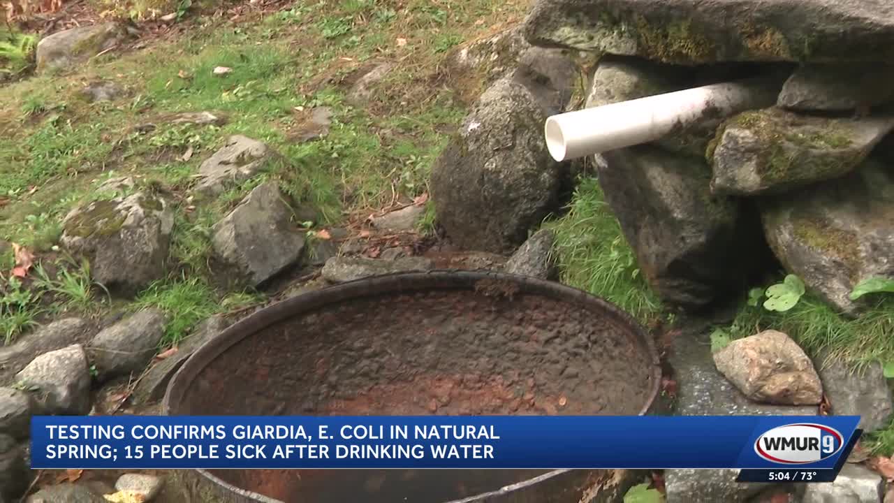 Testing confirms giardia, e. Coli in natural spring; 15 people sick ...