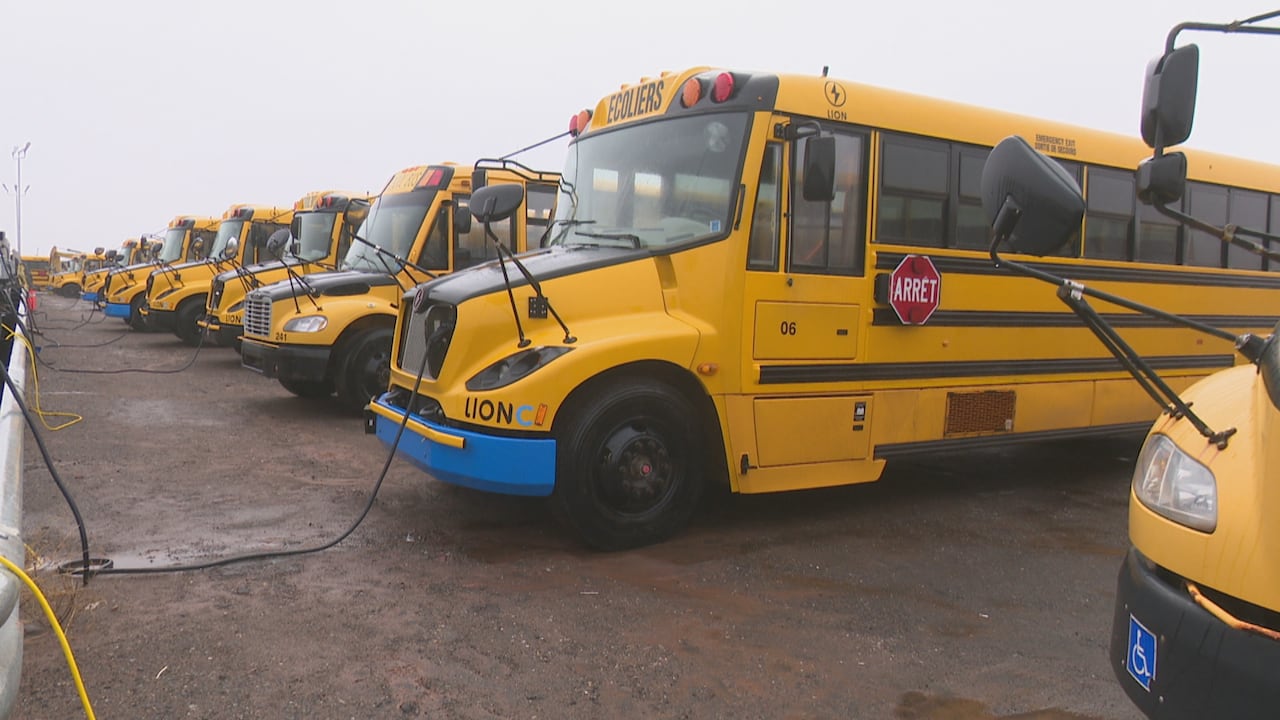 P.E.I.’s fleet of LION Electric buses still on the road after school ...