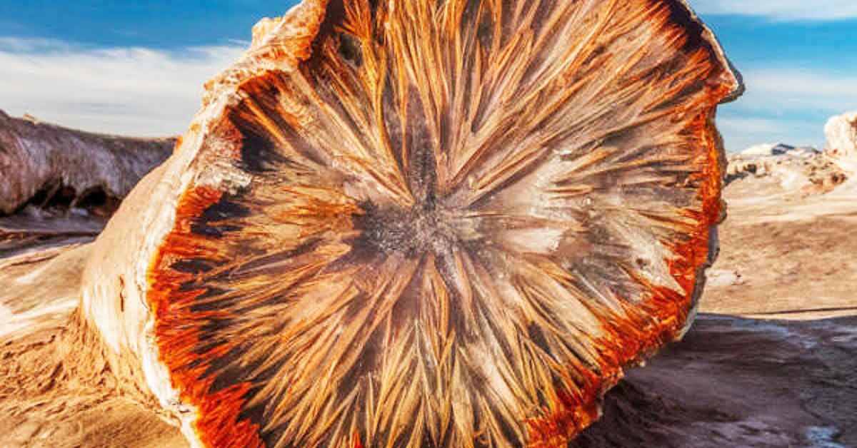 Captivating Images Showcasing the World's Diversity